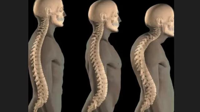 Мануальная терапия при проблемах с позвоночником