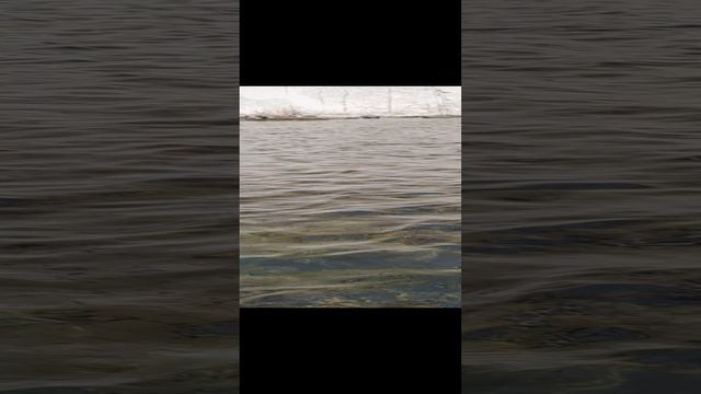 Скалы и море у Дикого пляжа "Дикое место", за Кабардинкой в сторону Новороссийска, видео от 31.08.24
