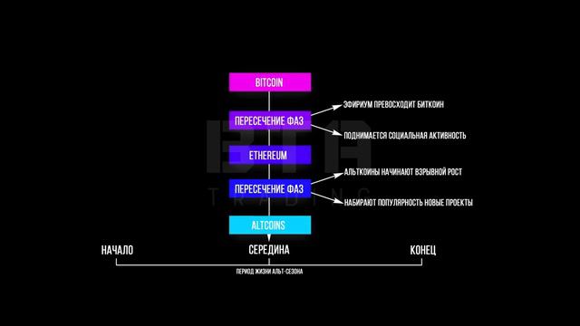 #заметкиинвестора Инвестиции в криптовалюты: Выбор активов.mp4