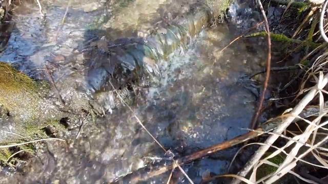 Звуки ручья весны! Видео для расслабления, медитации, здорового сна, релакса. Sounds of nature