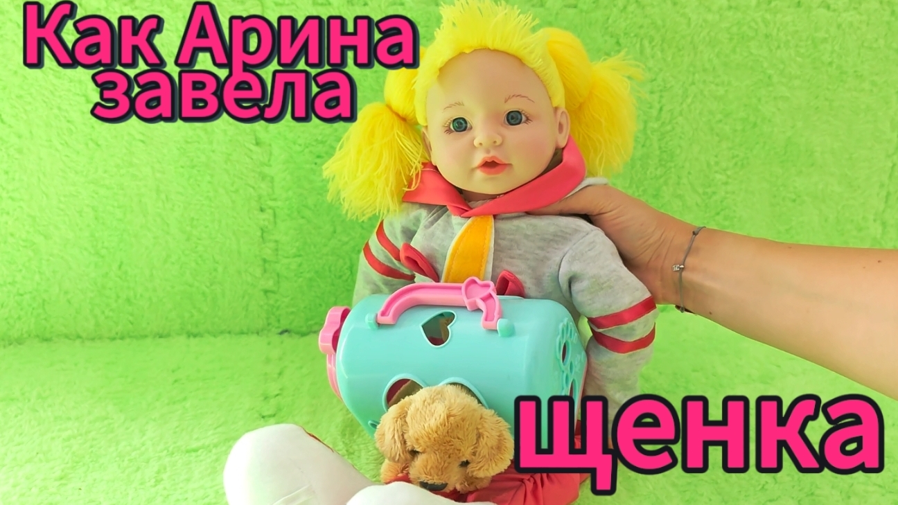 Мультики с игрушками. Арина завела щенка.mp4