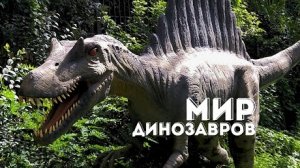 Поход в МИР ДИНОЗАВРОВ | 2024 | СОЧИ | РЕКОМЕНДАЦИИ | ВЛОГ