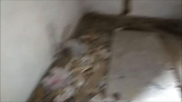 Заброшенная оптовая база