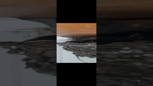 Красивые птеньчики