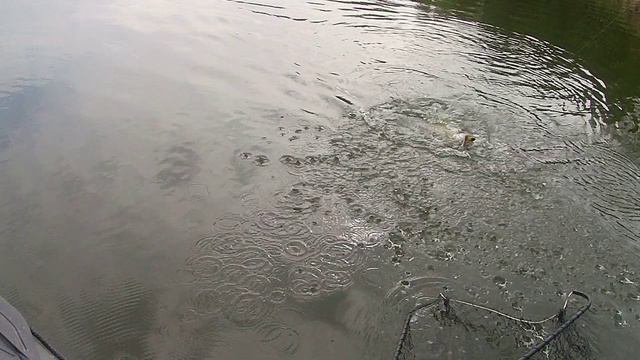 Р. Десна часть 2