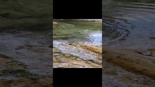Пшада, горная река, водопады (маленькие), шум воды, горный лес🌄🌊 видео от 20 июля 2024 г