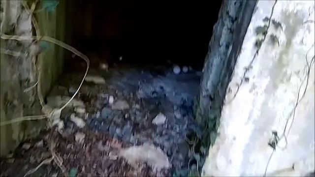 ЗМП | Замок змеиного короля