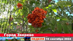 НЕДЕЛЯ_16  СЕНТЯБРЯ 2024