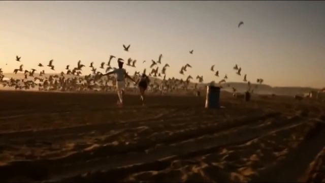 Эльбрус Джанмирзоев - Черное Море