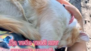Моя собственность
