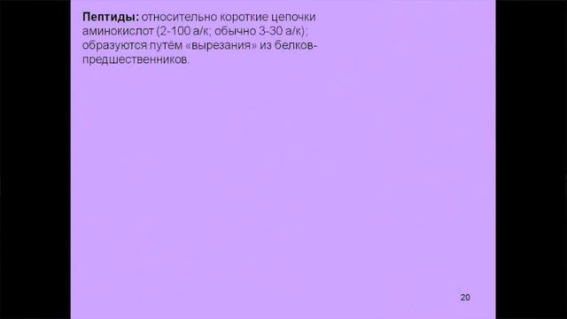 Лекция 10. Мозг и пептидные медиаторы. Курс_ Химия мозга.