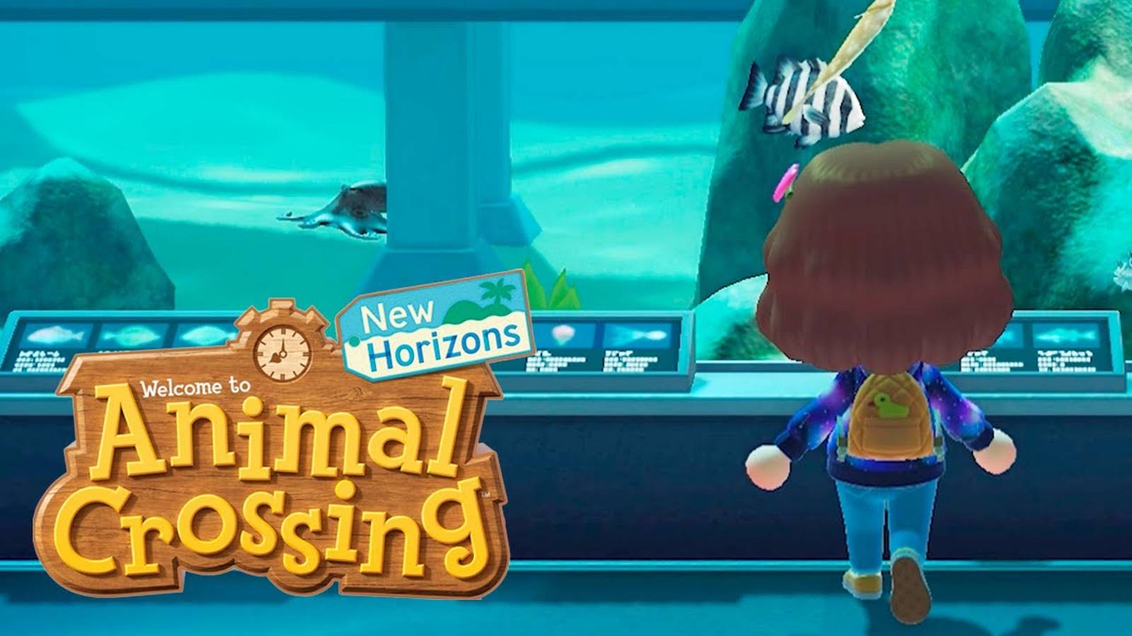 Animal Crossing ｜ День музя ｜ Прохождение №22