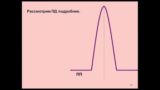 Лекция 2. Электрические процессы в мозге