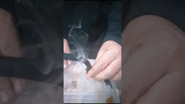 Дымогенератор: Копчение Кальмаров  в домашних условиях