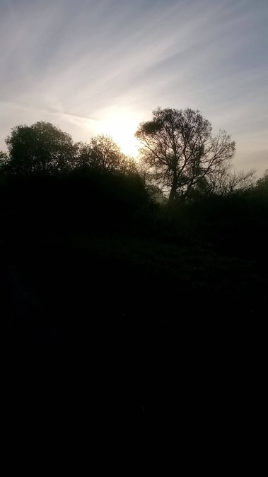 ℋℋℋℋℋ на RUTUBE: 192 видео – смотреть онлайн и бесплатно (28146667)