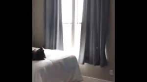 333 E. Boyd Unit #2 Walk Thru Video