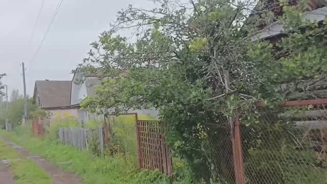 Осмотр пасеки и возможной её покупки.