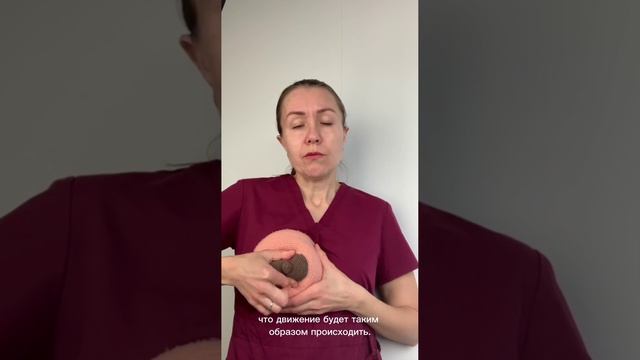 Техника сцеживания груди