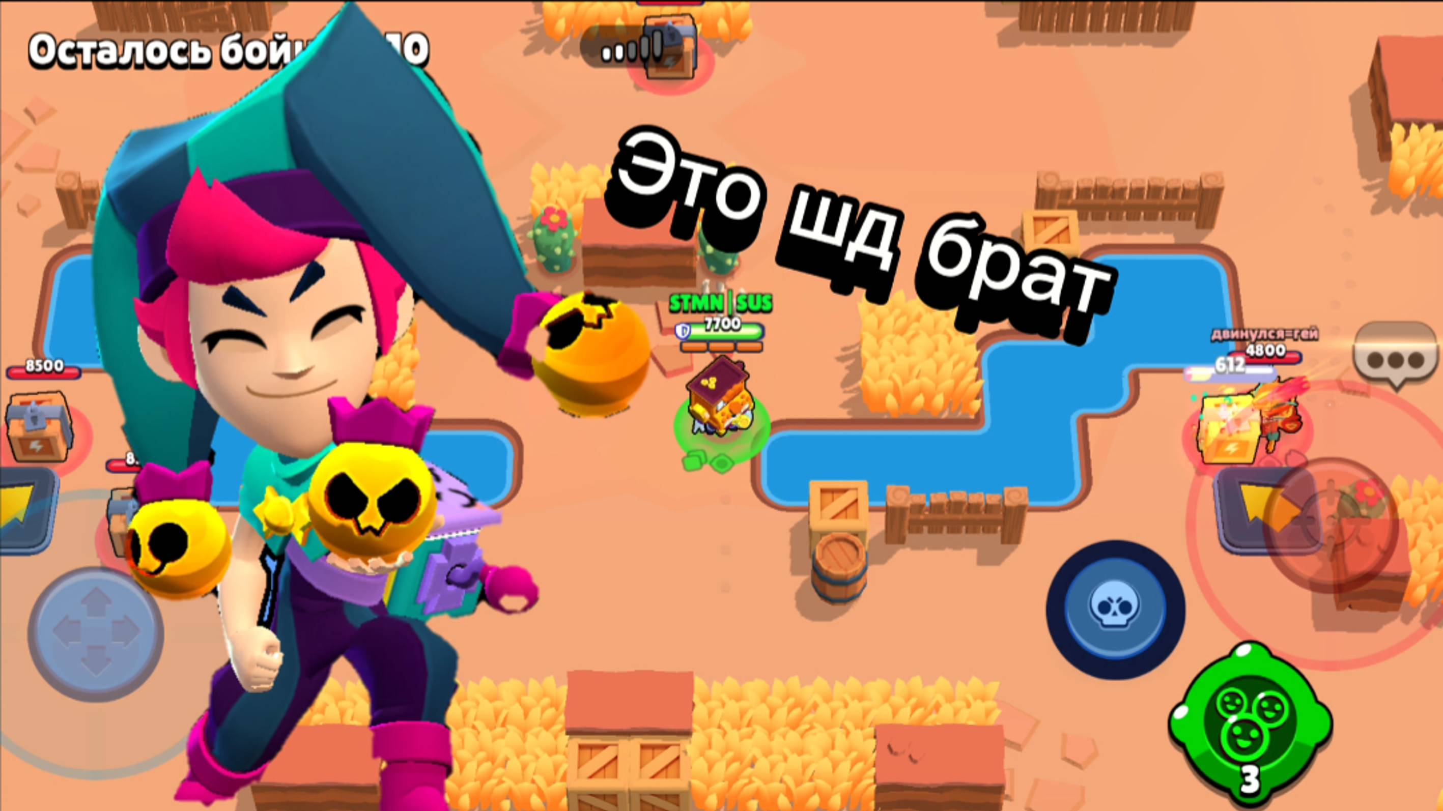 Это шд брат|Нуллс #1