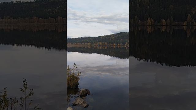 Поликарповский прд