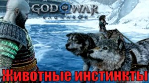 ЖИВОТНЫЕ ИНСТИНКТЫ ► побочное задание ► God of war Ragnarok. Прохождение