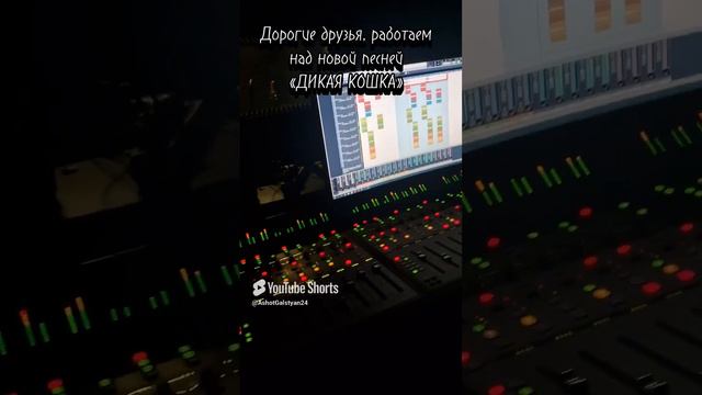 ASHOT GALSTYAN - ДИКАЯ КОШКА 2024 #Ashot #Galstyan #DikayaKoshka #2024 #New