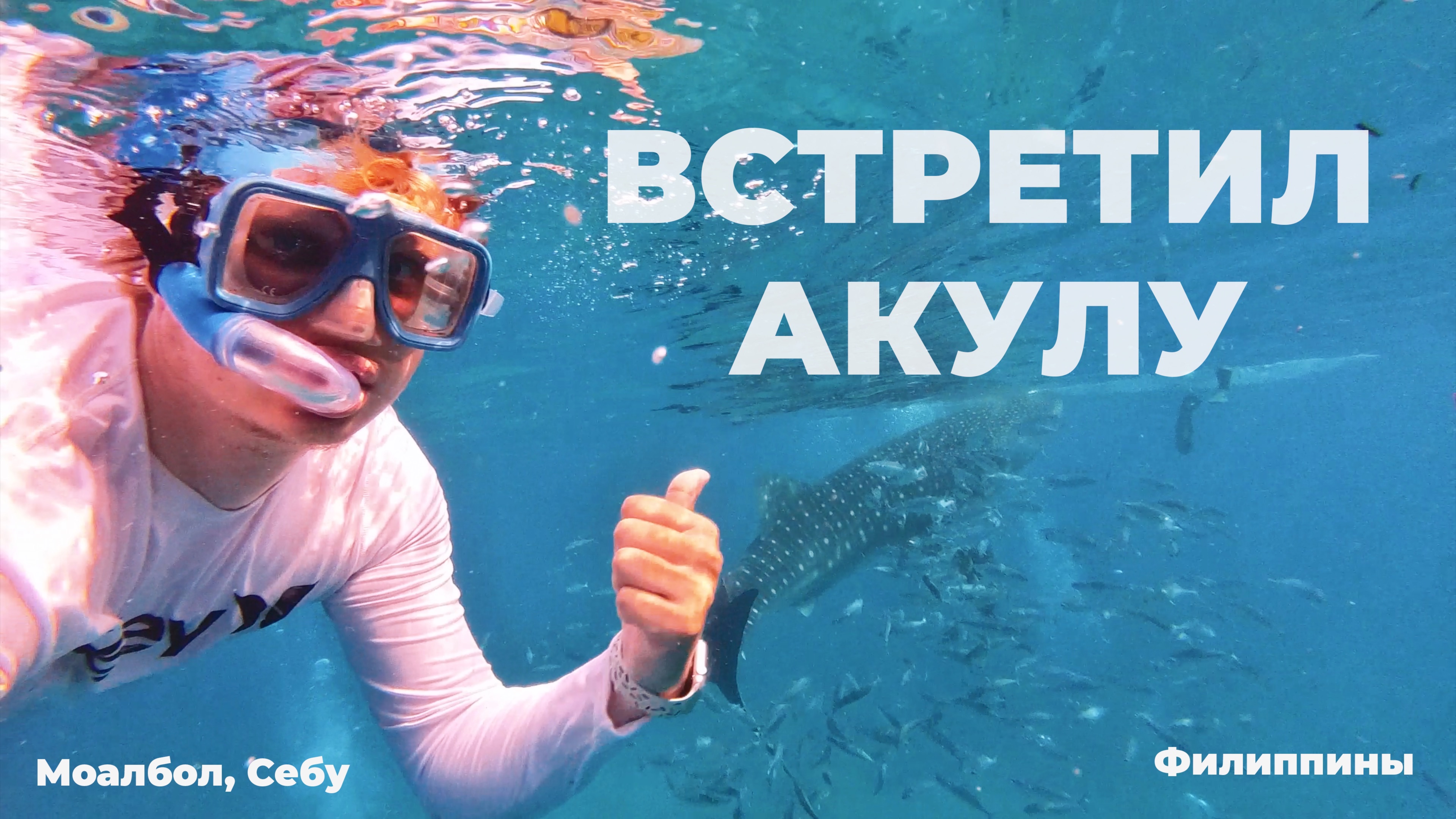 Встретил китовую АКУЛУ и остался жив!  | Моалбоал, Филиппины.
