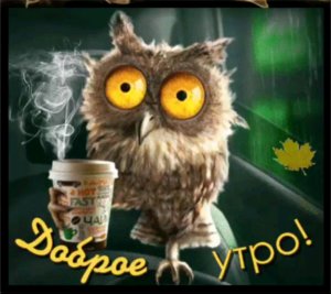 привет