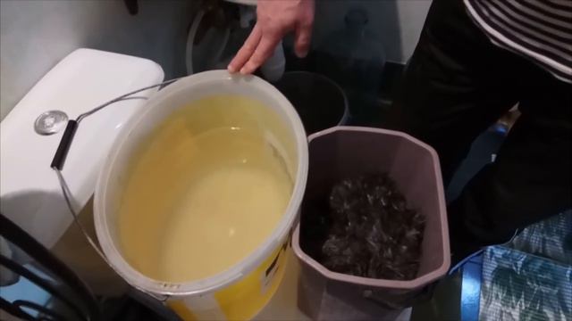 Выделка шкур кролика.  Обезжиривание и пикелевание