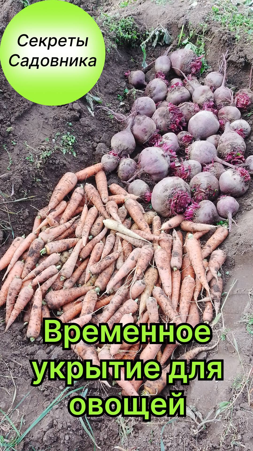 Временное укрытие для овощей