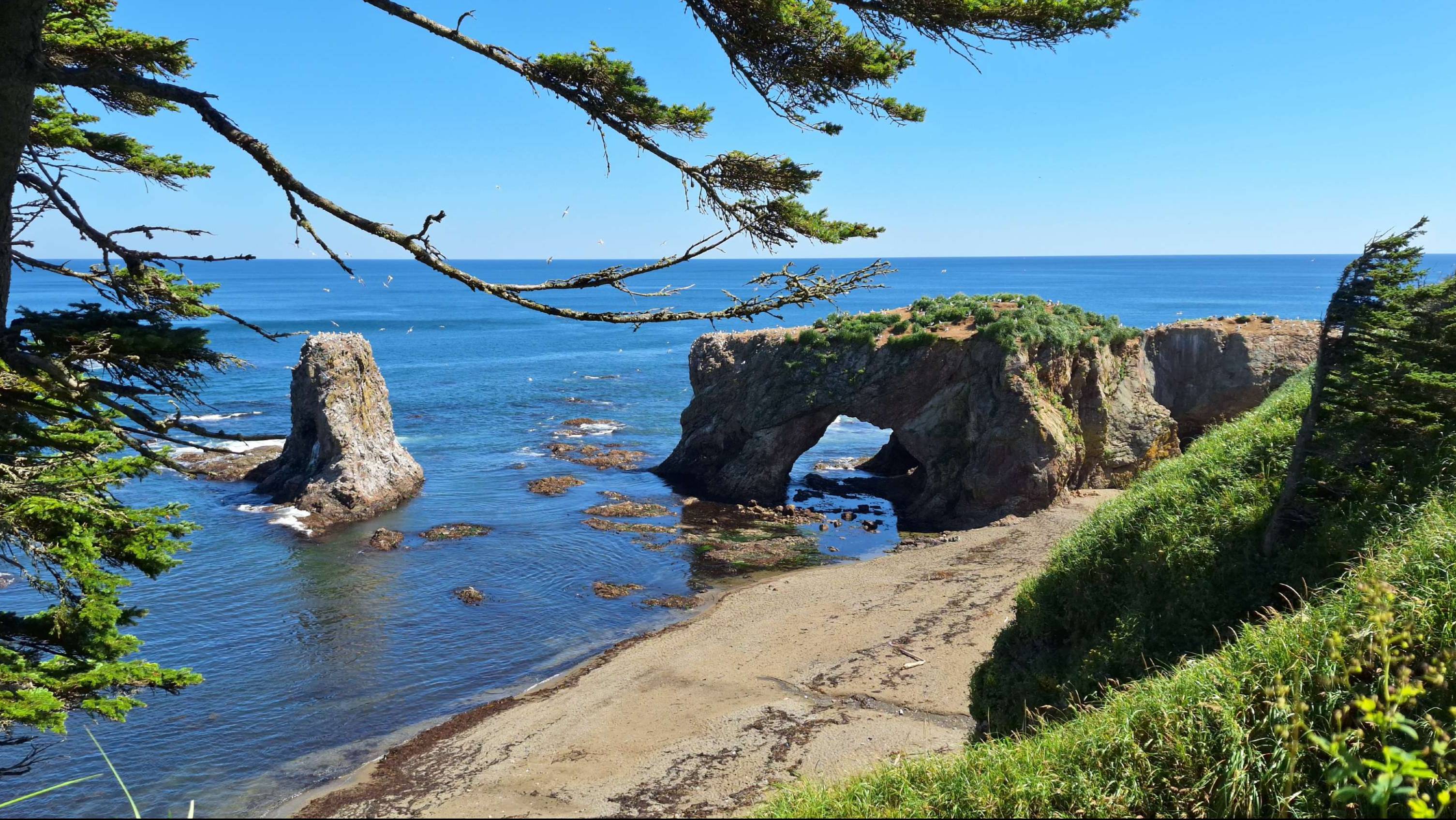 Сахалин Мыс Птичий 2