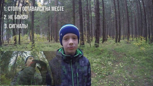 Что делать если потерялся в лесу? Детский социальный проект. Покажите детям!