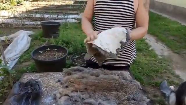 кожа финал