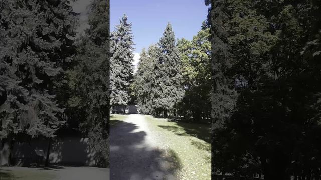 TimeLapse_прогулка в музее-заповеднике Коломенское г.Москва (540 фото)