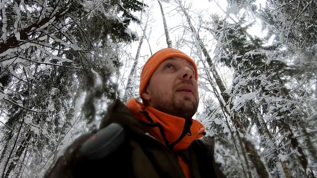 Как я терялся в лесу на зимних учениях ДПСО Лизаалерт :)
