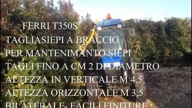 Косилка кусторез FERRI T350S