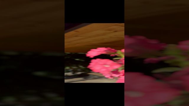 помни, что в тебя кто-то верит всем сердцем