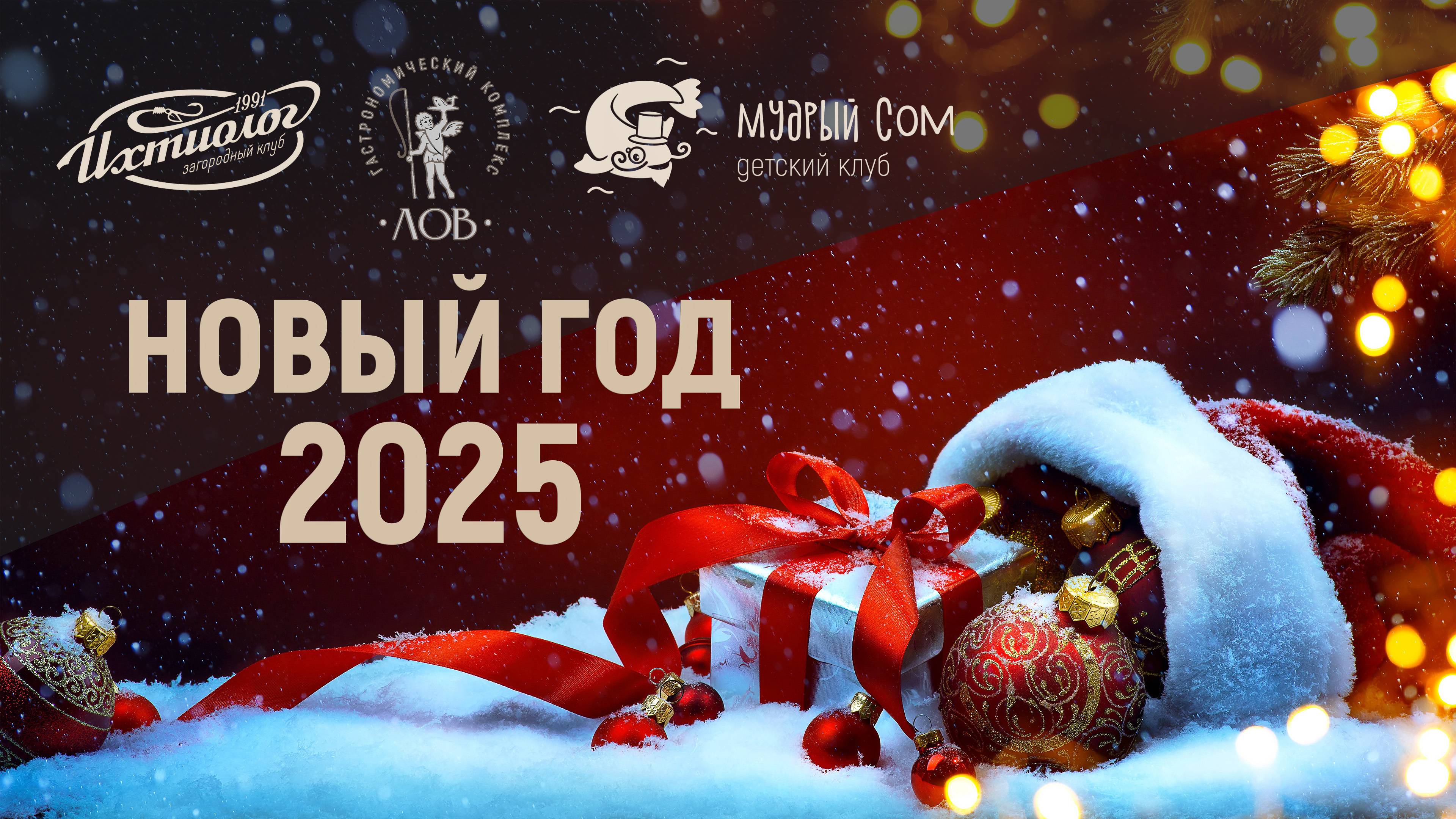 Снять коттедж на Новый год | Новый год в коттеджах у воды | Клуб Ихтиолог