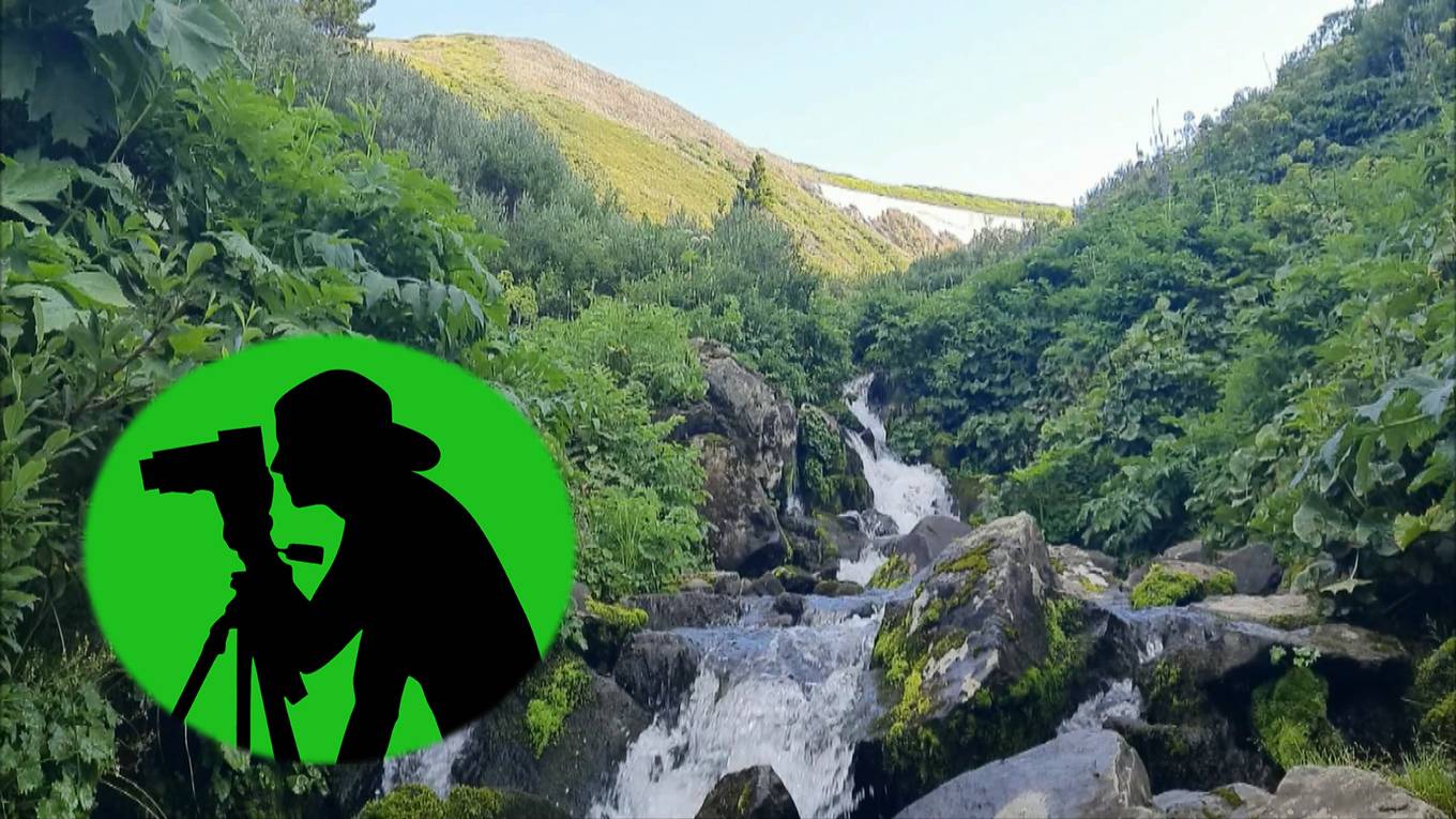Звуки природы / Ручей в горах / Звучание горной речки и пение птиц для вашего отдыха и медитации
