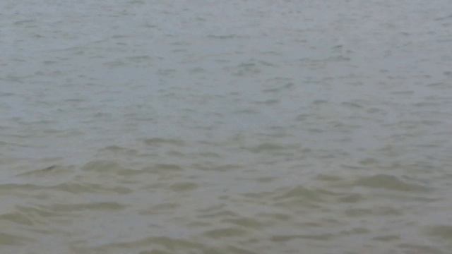 Уезжаем. Море, до свидания!