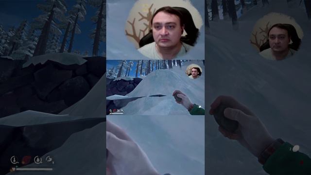 Странный волк The long dark wolf #shorts #short #longdarkshorts #alexandrgaming