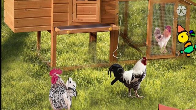 Моя анимация в программе Flipa clip :)(Птенчик)