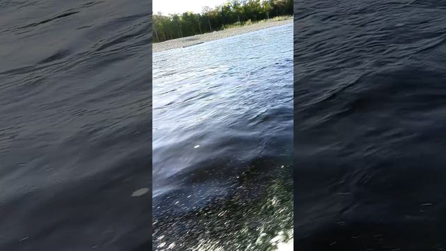 1000007040.mp4