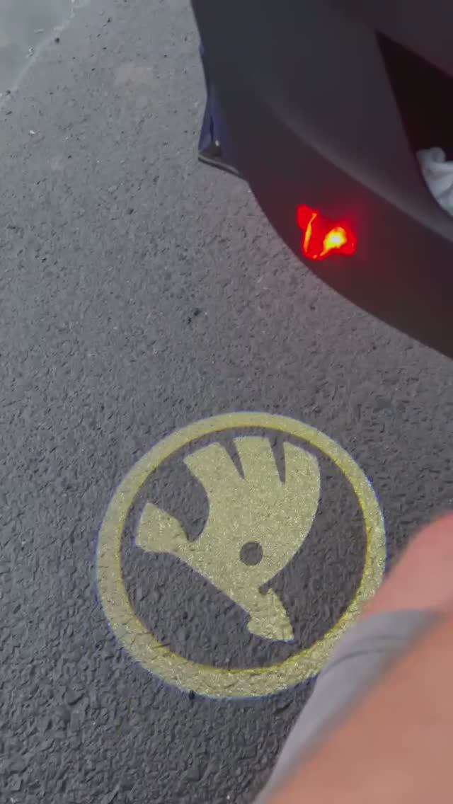 Проекции Шкода