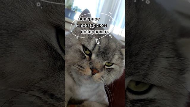 А вы тоже рабы своей профессии?