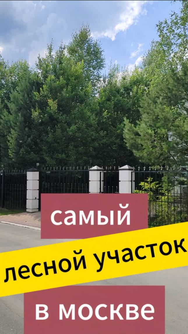 Когда нашел ЛЕСНОЙ!! участок...