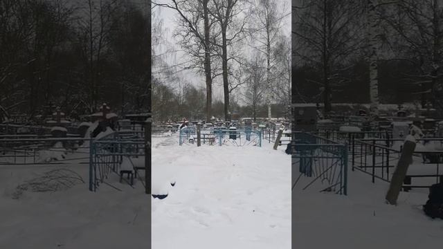 28 ноября 2022 г.