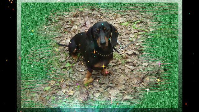 из фото в фотошопе