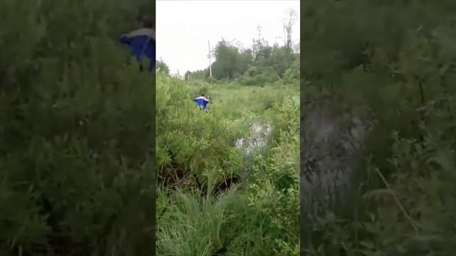 2 июня 2023 г.
