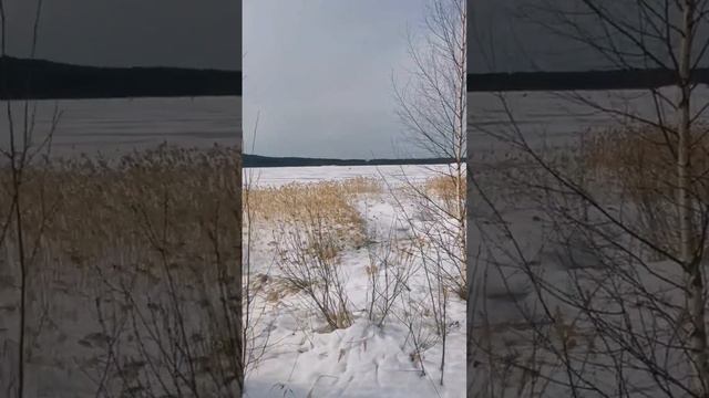 21 марта 2023 г.
